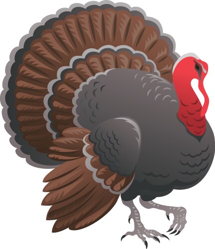 Turkey Vector Images (over 76,000)