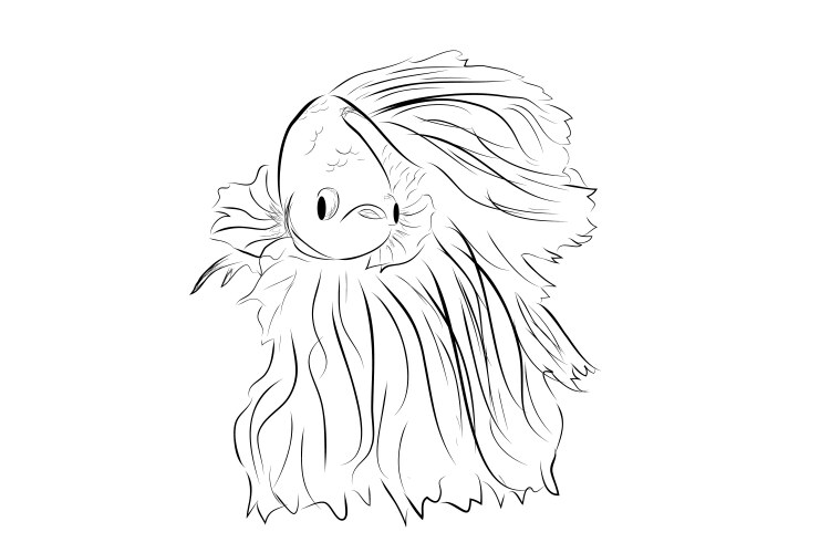 Simple outline betta or siamese fighting fish Vector Image