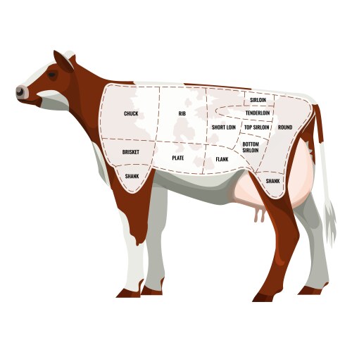 Beef Cut Vector Images (over 16,000)