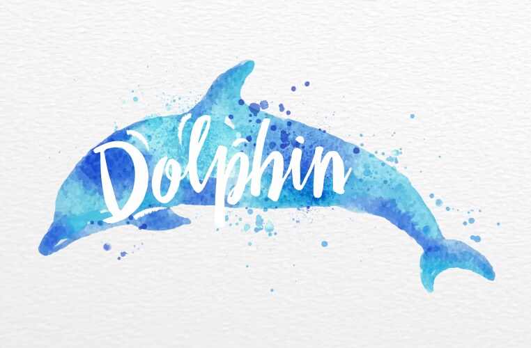 Cartoon funny dolphin jumping Royalty Free Vector Image Cartoon funny dolphin jumping Royalty Free Vector Image