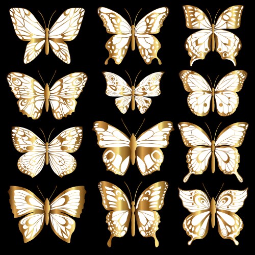 Cartoon Butterflies Vector Images (over 45,000)