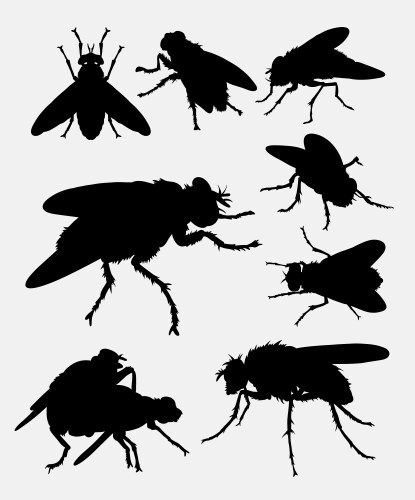 Fly Insect Silhouette Vector Images (over 29,000)