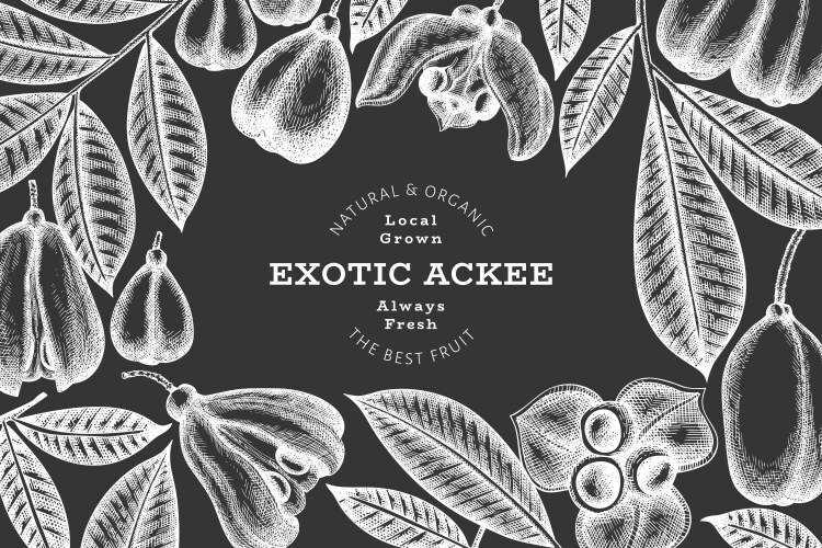 Aki Vector Images (over 200)