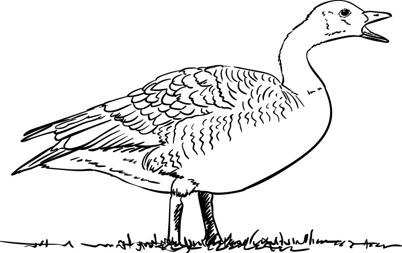 Angry Goose Vector Images (over 340)