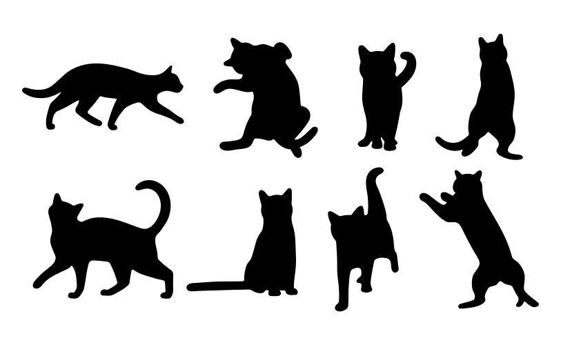Cat shadow 2 Royalty Free Vector Image - VectorStock
