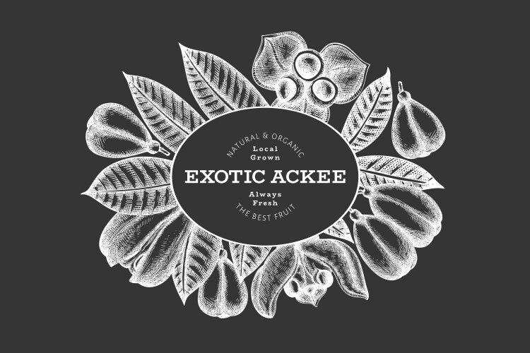 Aki Vector Images (over 200)