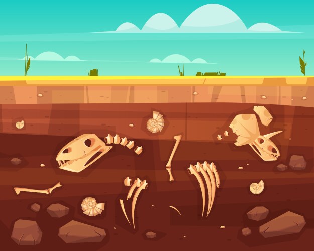 Underground dinosaur bones Royalty Free Vector Image