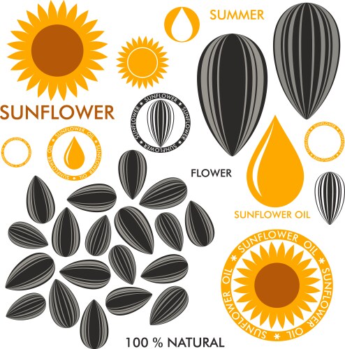 Sunflower Vector Images (over 53,000)