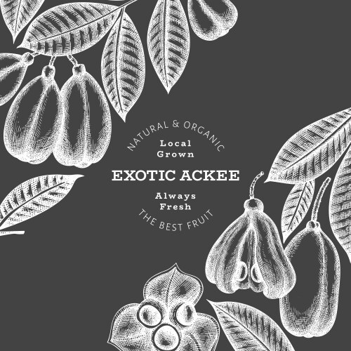 Aki Vector Images (over 200)