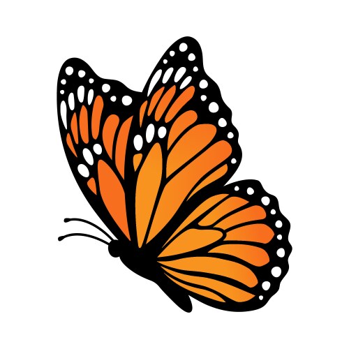 Butterfly Side View Vector Images (over 330)