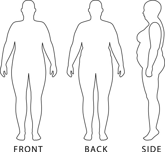 Body Outline Front Back Vector Images (over 8,900)