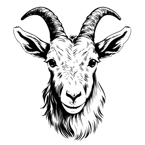 Libra zodiac symbol Royalty Free Vector Image - VectorStock