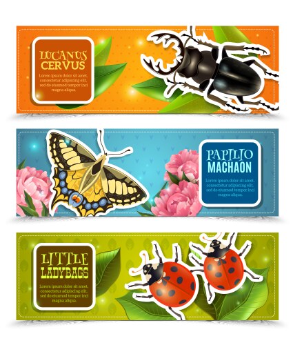 Insects realistic set Royalty Free Vector Image
