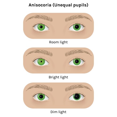 Realistic human eyes with pupula duplex Royalty Free Vector