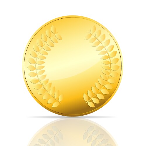 Blank gold coin template Royalty Free Vector Image
