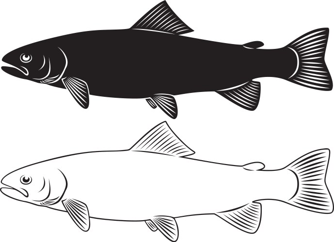 Trout Silhouette Vector Images (over 3,700)
