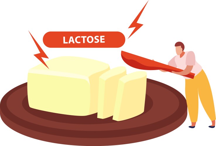 Lactose tolerance intolerance diagram medical Vector Image