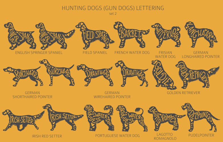 Dog breeds silhouettes with lettering simple Vector Image
