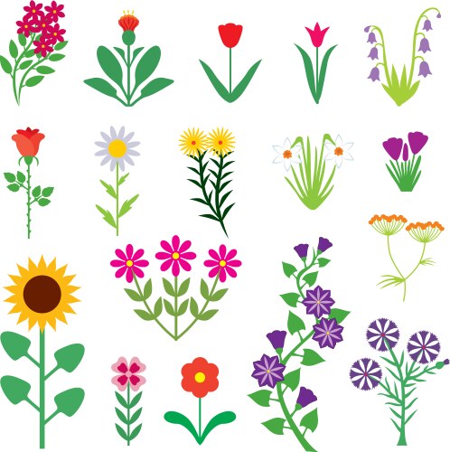 Rose flower Royalty Free Vector Image - VectorStock