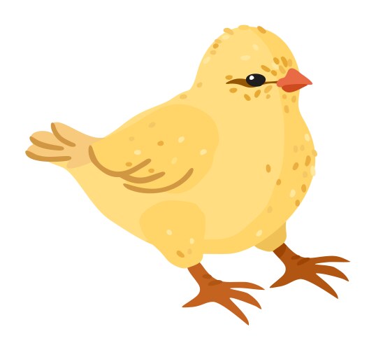 Free Chicken Vector Images (over 22,000)