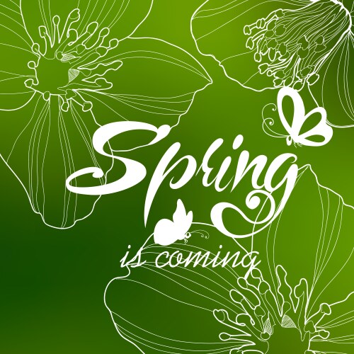 Typographic design lettering spring Royalty Free Vector