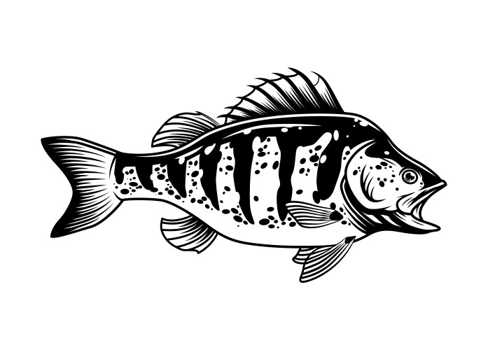 Bass Vector Images (over 85,000)