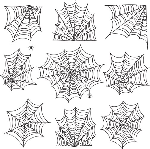 Hand drawn spider web halloween symbol cobweb Vector Image