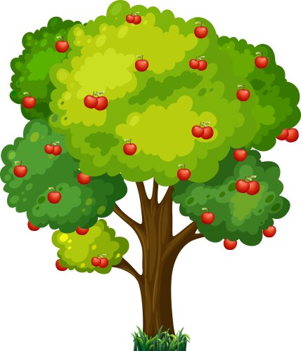 Apple tree on white background Royalty Free Vector Image