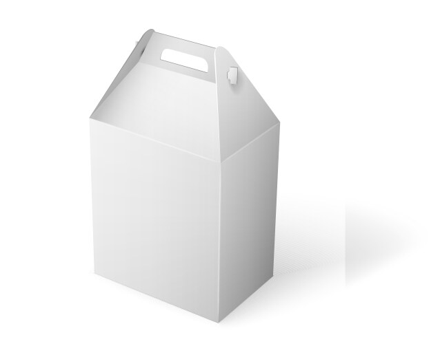 White product package box isolated on Royalty Free Vector