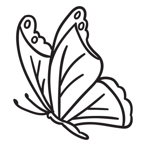 Butterfly side view Vector Images & Graphics for Commercial Use ...