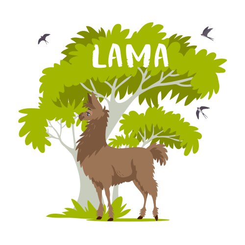 Lama Vector Images (over 7,600)