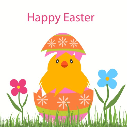 Easter chick Royalty Free Vector Image - VectorStock