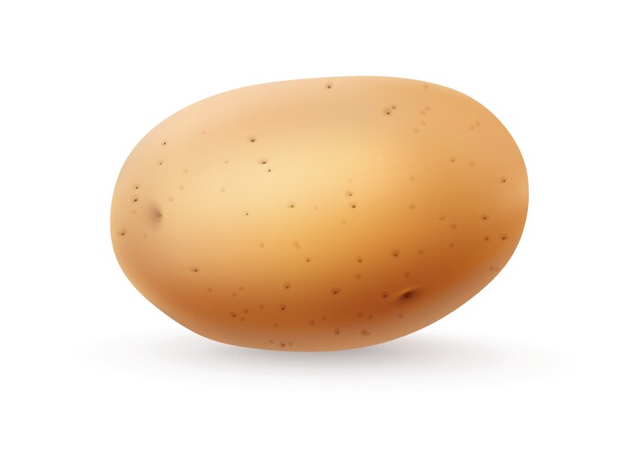 French fries roasted potato Royalty Free Vector Image