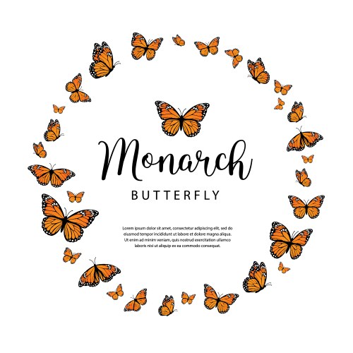 Monarch Butterfly Border Vector Images (over 240)