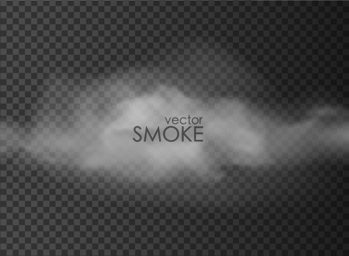 Fog and smoke isolated on transparent background Vector Image