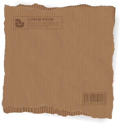 Torn cardboard and taped paper Royalty Free Vector Image