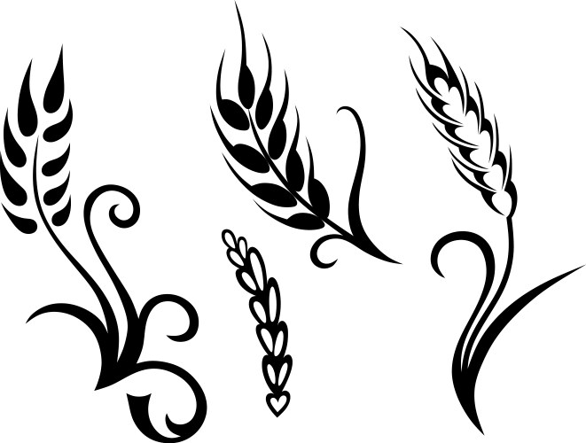 Wheat Vector Images (over 130,000)