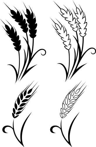 Wheat Vector Images (over 130,000)