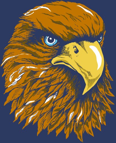 Falcon Vector Images (over 30,000)