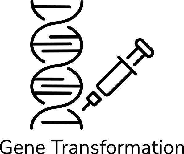 Gene regulation Royalty Free Vector Image - VectorStock