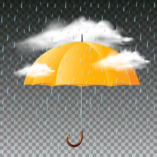 Rainy night at pond nature Royalty Free Vector Image