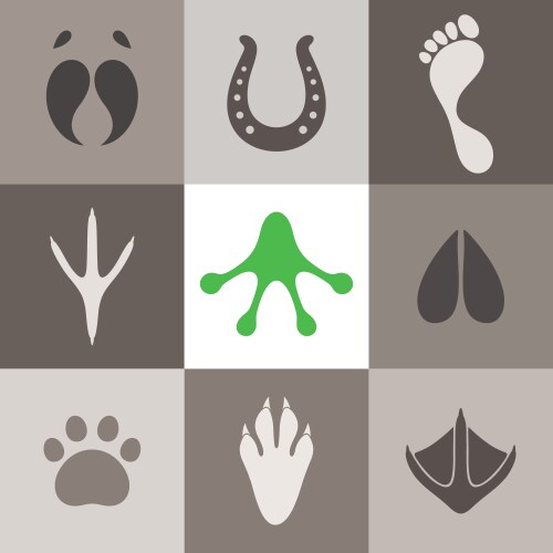 Dog Paw Print Vector Images (over 45,000)