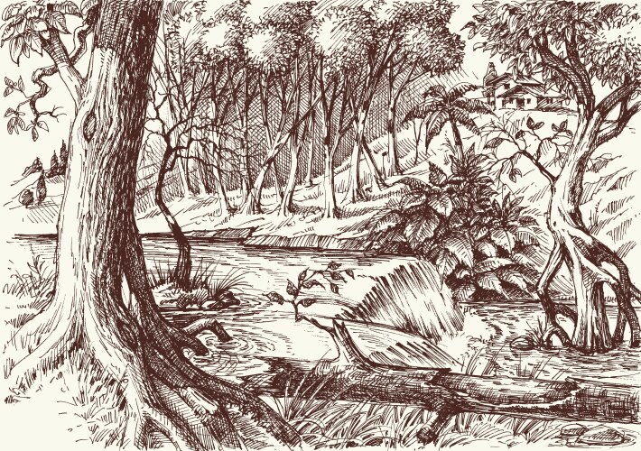 Forest Drawing Vector Images (over 180,000)