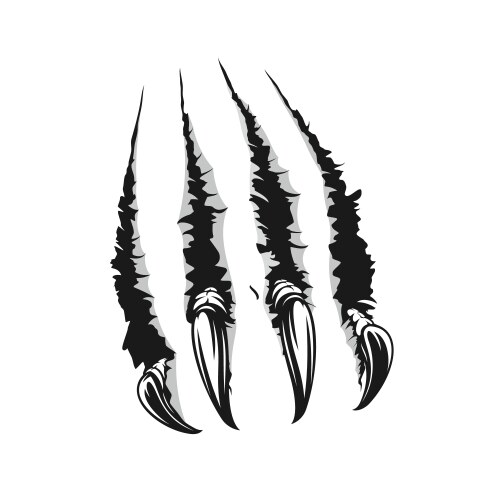 Claw Rip Vector Images (over 1,100)