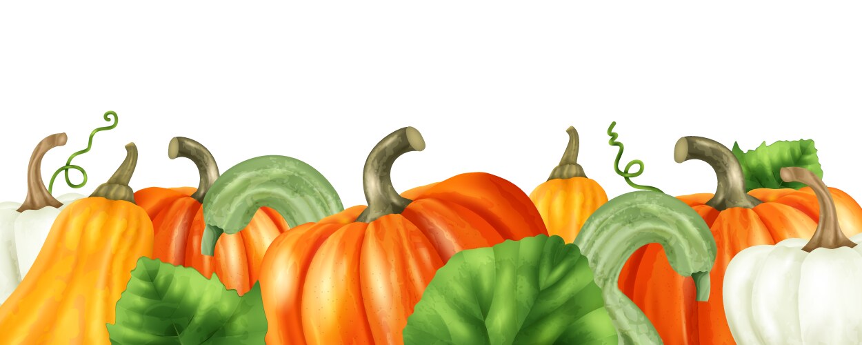 Pumpkins border Royalty Free Vector Image - VectorStock