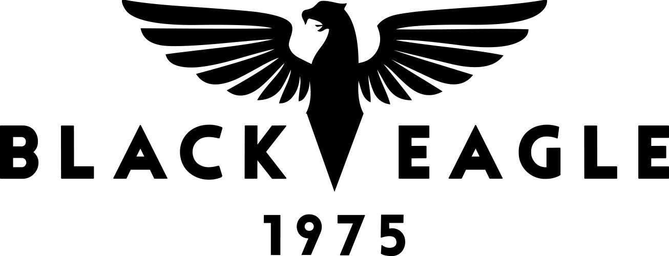 Black eagle silhouette isolated on white Vector Image