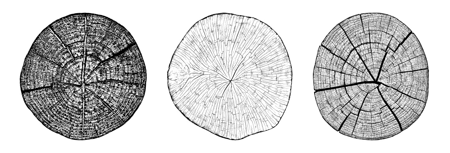 Set of distressed wood texture Royalty Free Vector Image