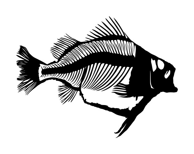 Fish Skeleton Vector Images (over 8,000)