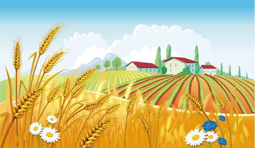 Landscape Vector Images (over 1 million)