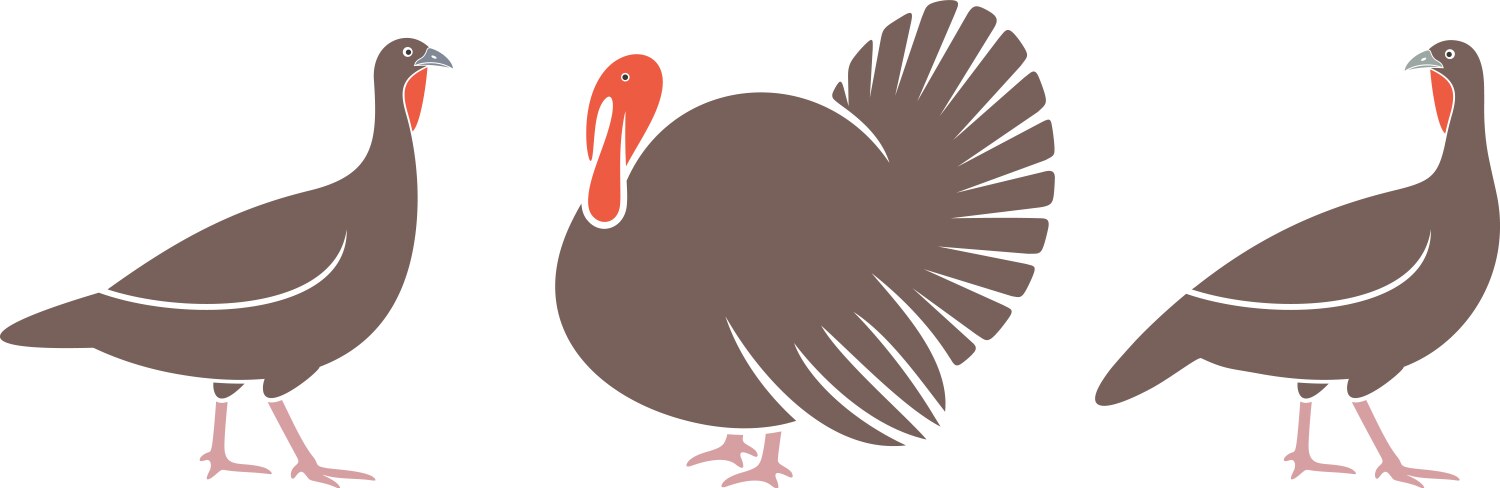 Turkey silhouette white background Royalty Free Vector Image